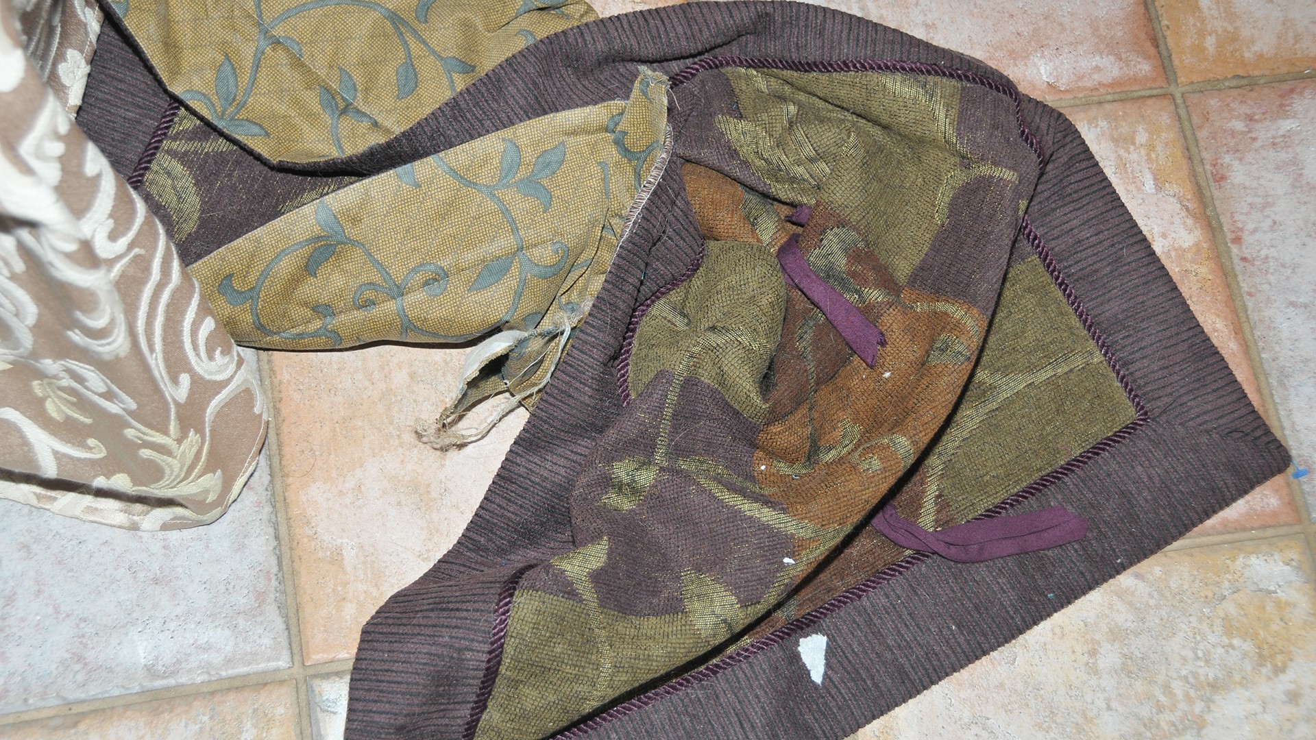 New DNA evidence in Sandra Melgar's case | khou.com