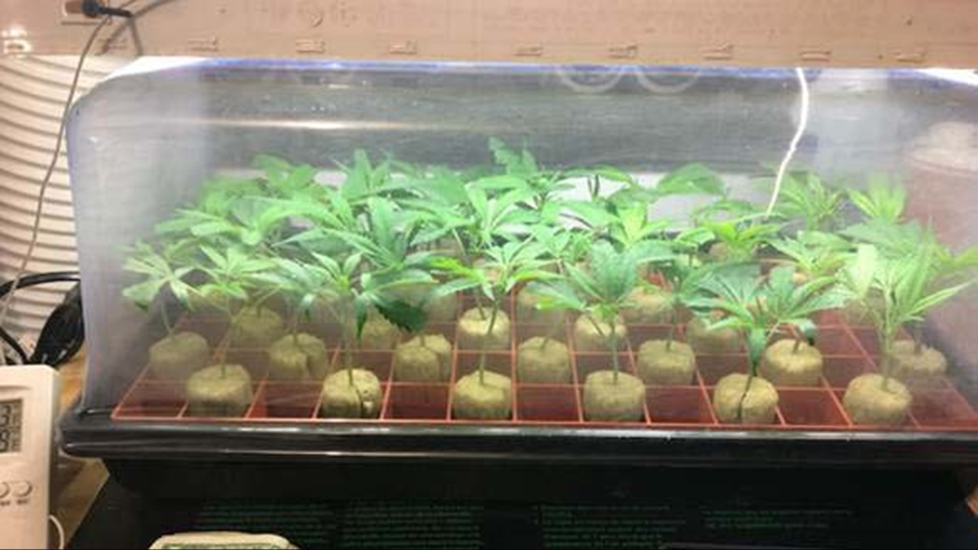 Deputies discover 'elaborate, indoor high-grade marijuana grow' in San ...