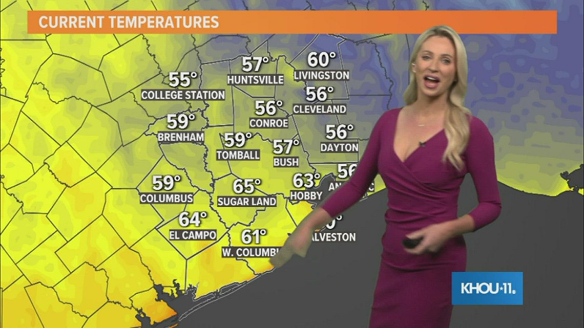 Forecast: sunny skies, lower humidity and pollen relief | khou.com