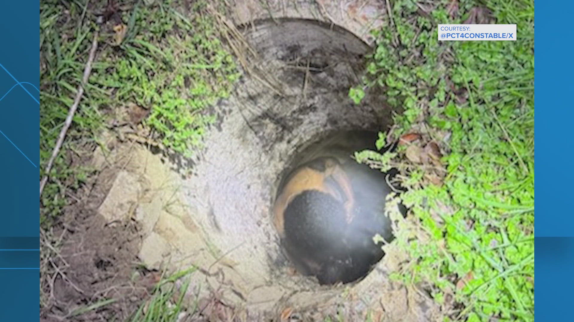 Mattel adds an autistic Barbie to doll line devoted to showcasing ...