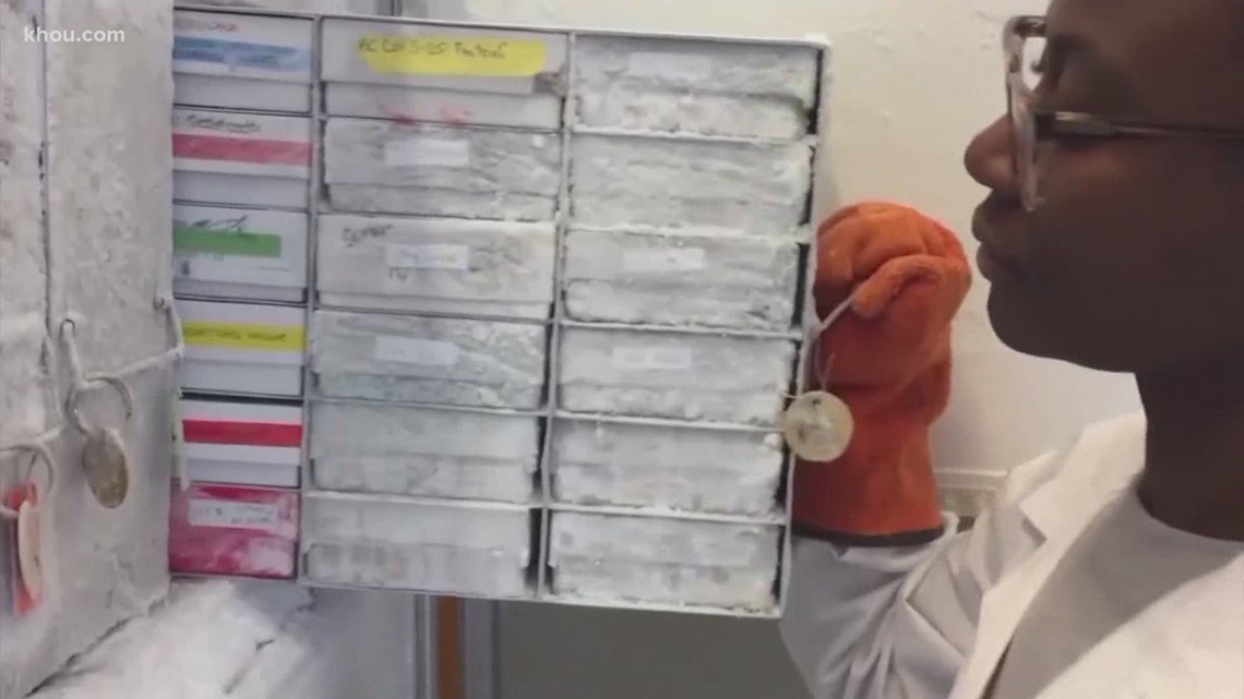 'Extreme cold storage required': Pfizer to test COVID-19 vaccine ...