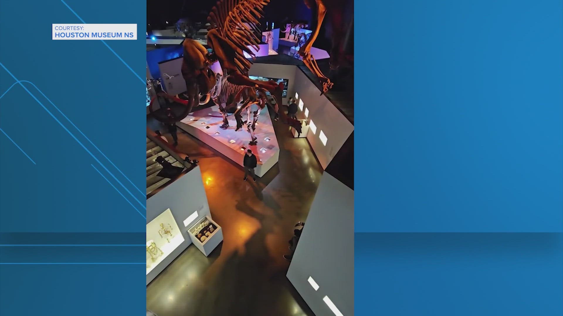 Houston Museum of Natural Science does viral TikTok trend | khou.com