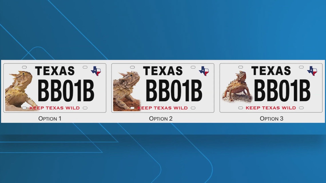 Vote coming soon on design of new horned lizard license plate | khou.com