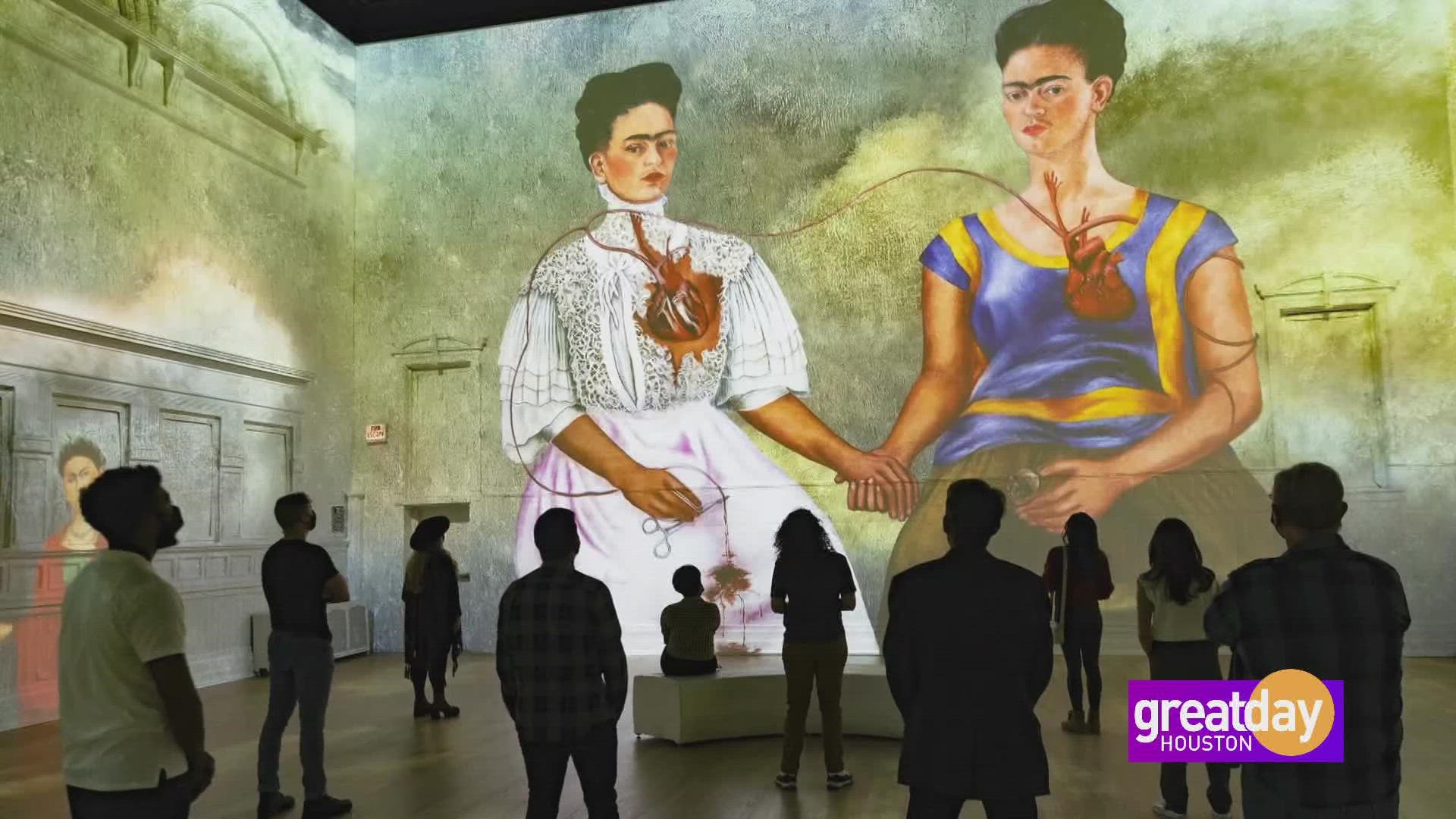 Immersive Frida Kahlo Exhibit in Houston until May 29 | khou.com