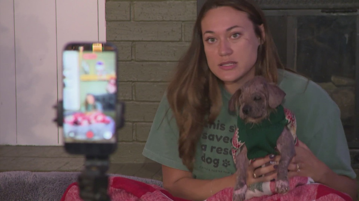 How a Houston woman used Instagram to rescue hundreds of abandoned ...