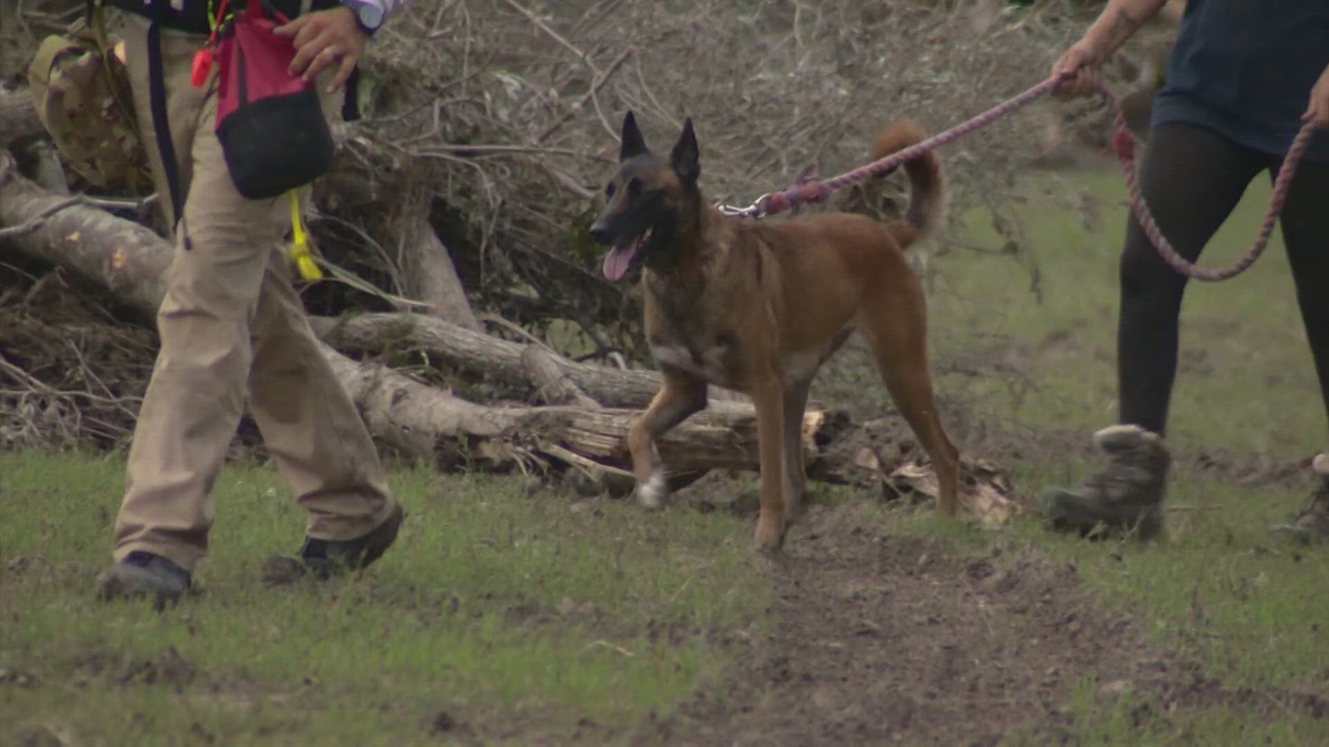 Cadaver dogs boosting flood search efforts in Kerr County | khou.com