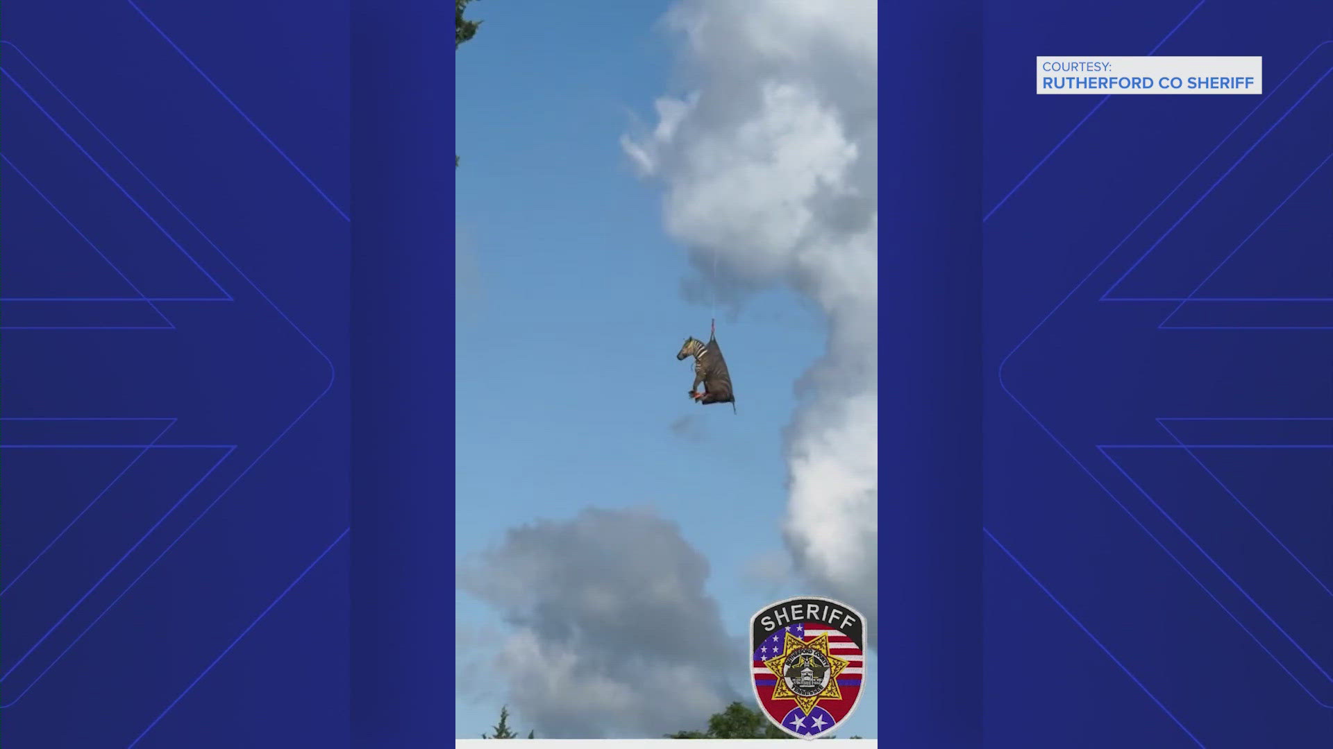 Zebra Ed returned safely after Tennessee escape | khou.com