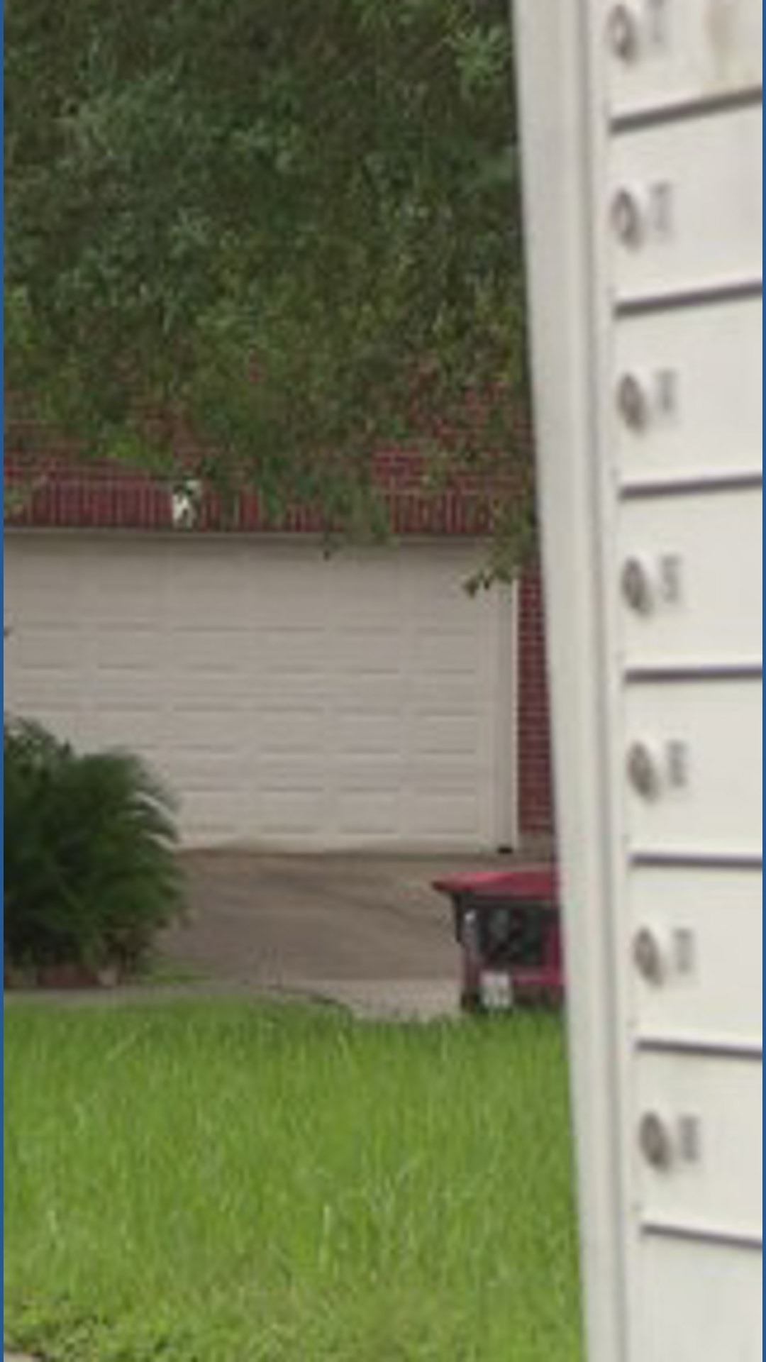 Mission Bend residents fed up with stolen mail | khou.com