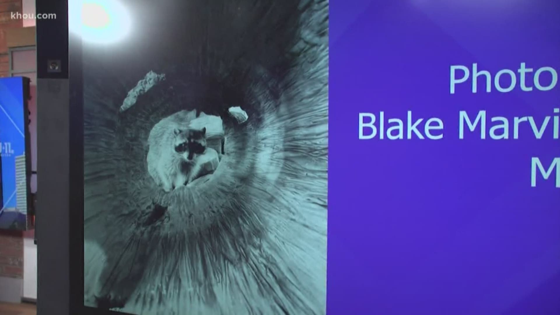 Winners of Apple's iPhone challenge show impressive shots taken with ...