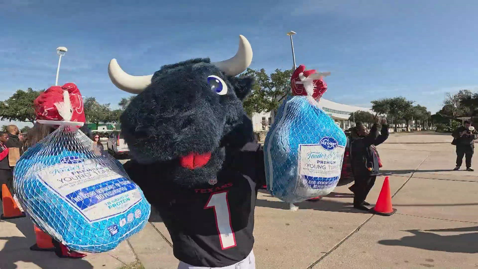 Houston Texans' Toro joins Mascot Hall of Fame 2025 | khou.com