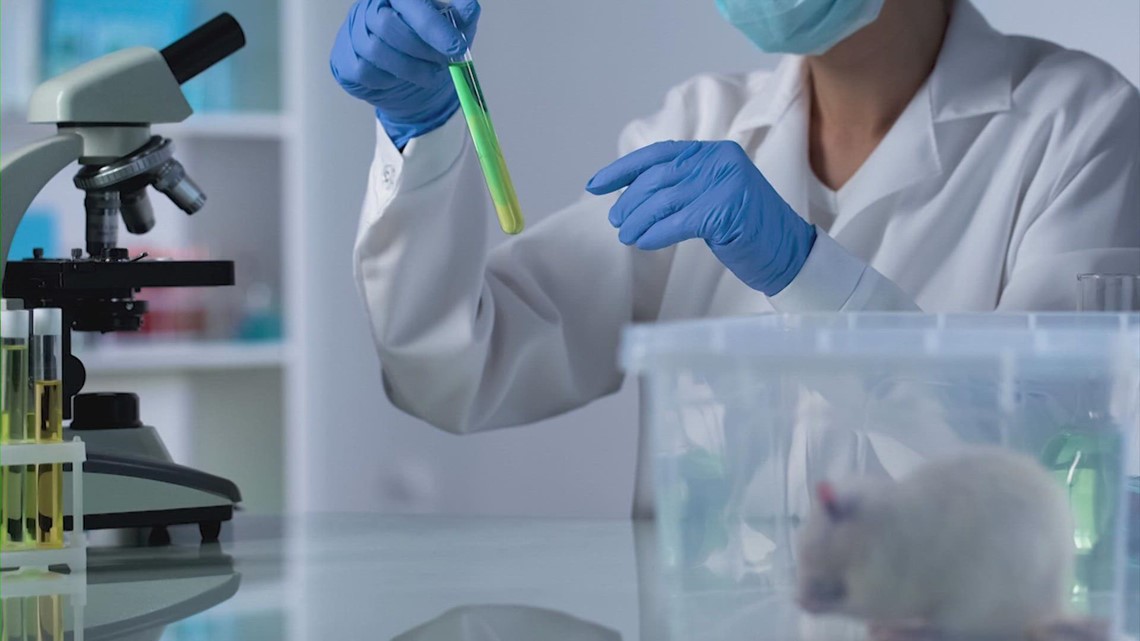 COVID vaccine technology used against cancer? Research underway | khou.com