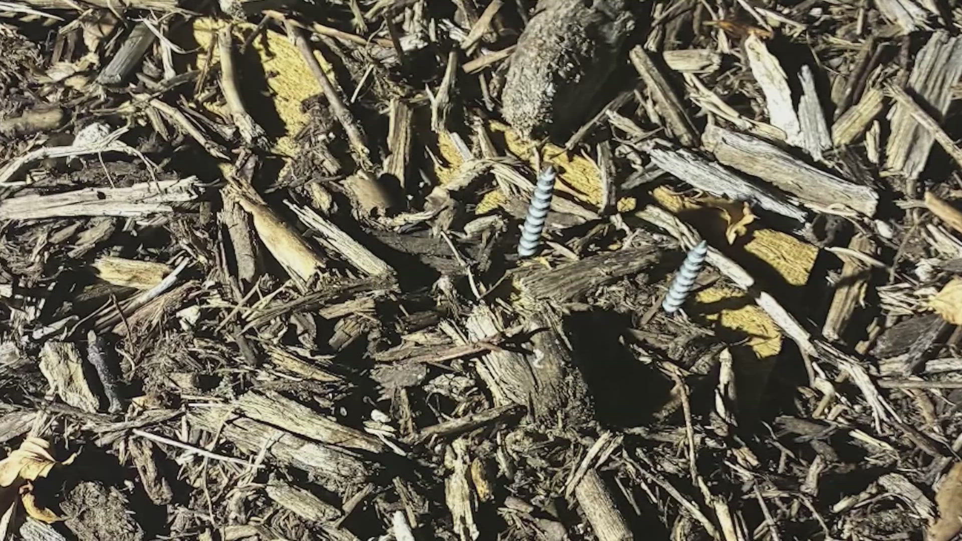 What is the new Houston area code? | khou.com