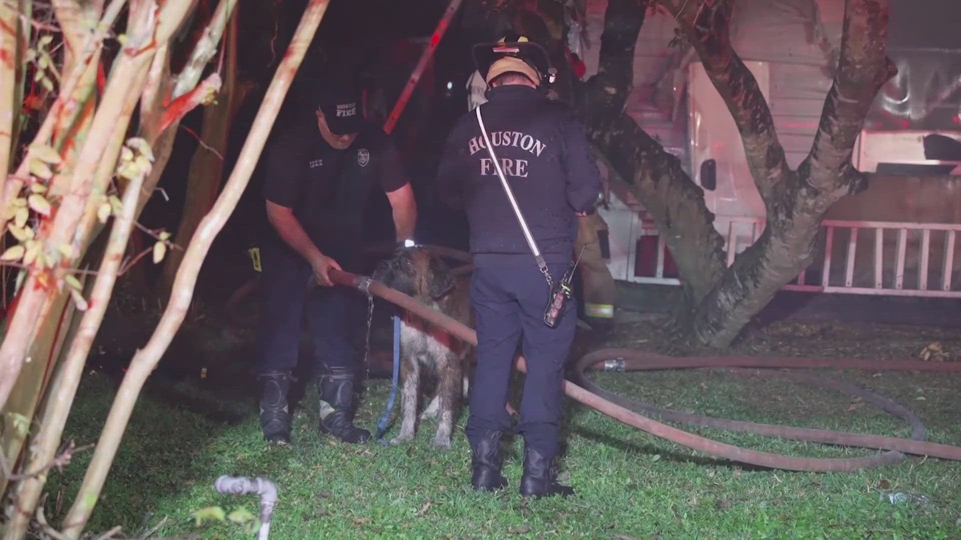 HFD rescues dog from overnight house fire | khou.com
