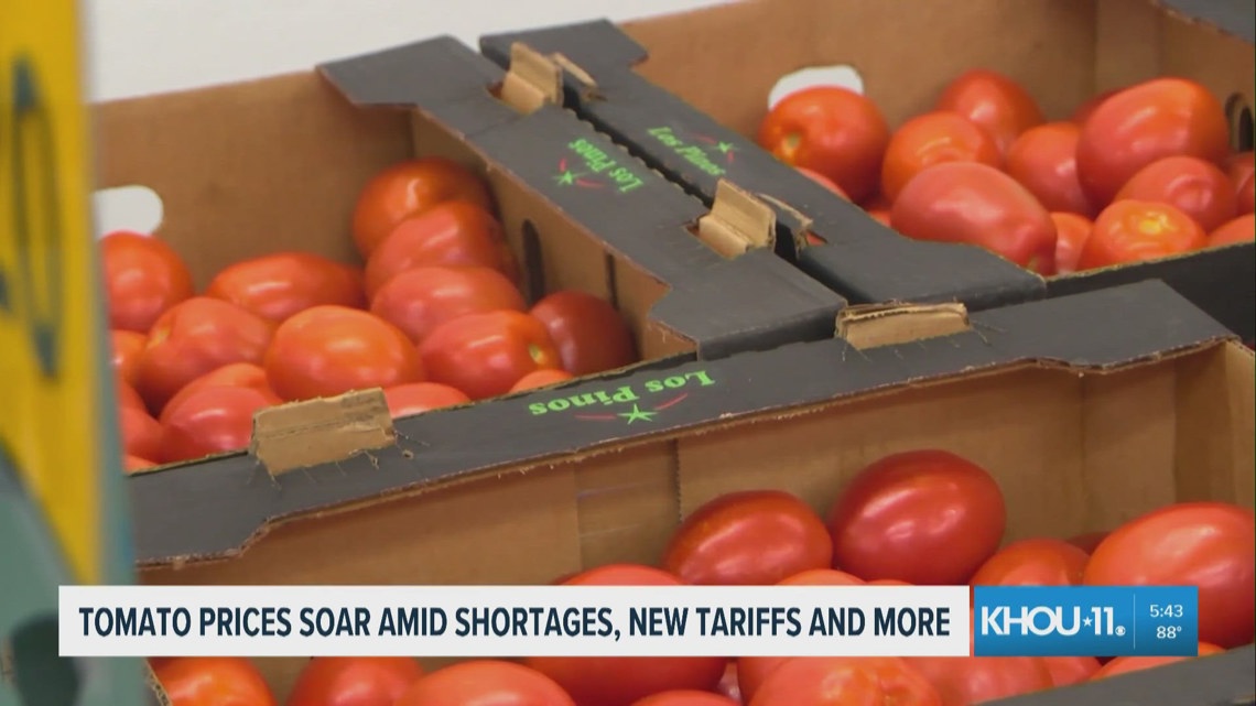 Rising tomato costs hit grocery stores, restaurants across the country ...
