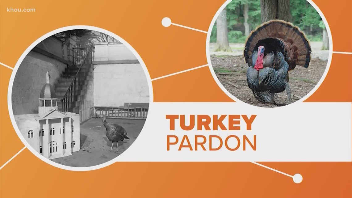 History of turkey pardoning at the White House | khou.com