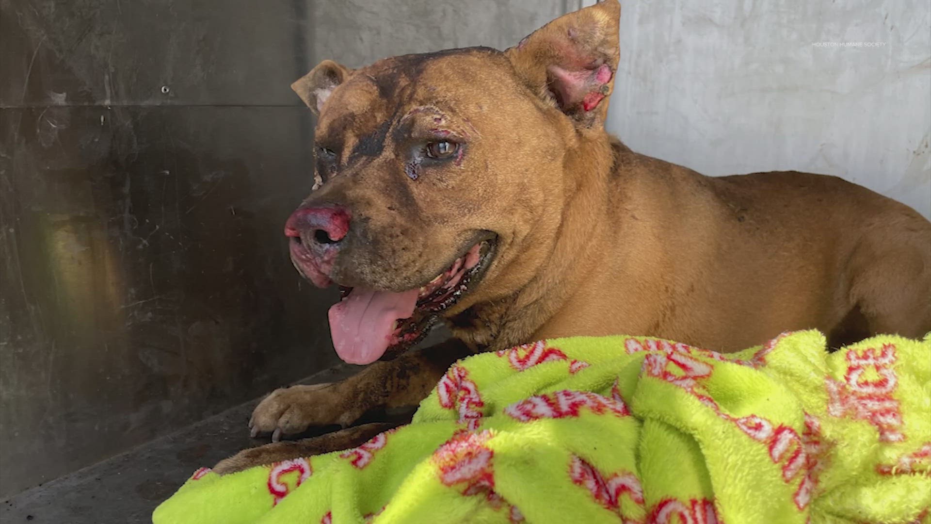 Original Big Tex head tops University Park Christmas display | khou.com