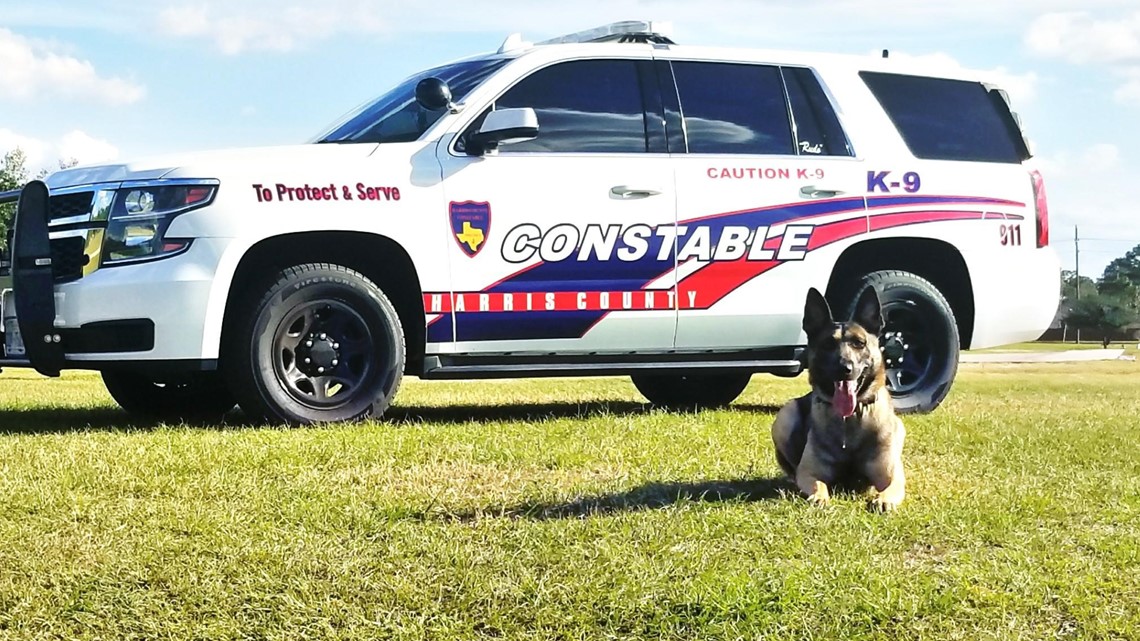 Harris County Precinct 4 K-9 officer Rudo retires | khou.com