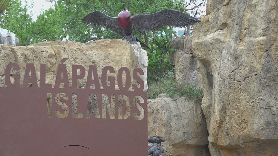 New Galápagos Islands exhibit at Houston Zoo opens Friday | khou.com