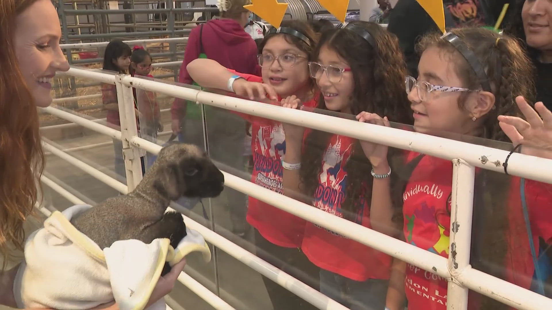 'AgVenture' exhibit at RodeoHouston showcases agriculture, live animals ...