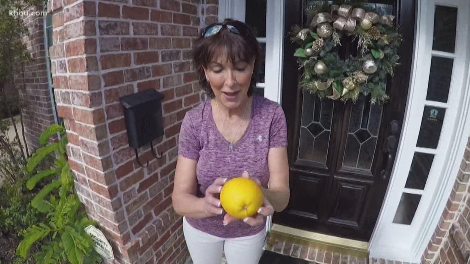 Homeowner says thieves took oranges from tree in front yard | khou.com