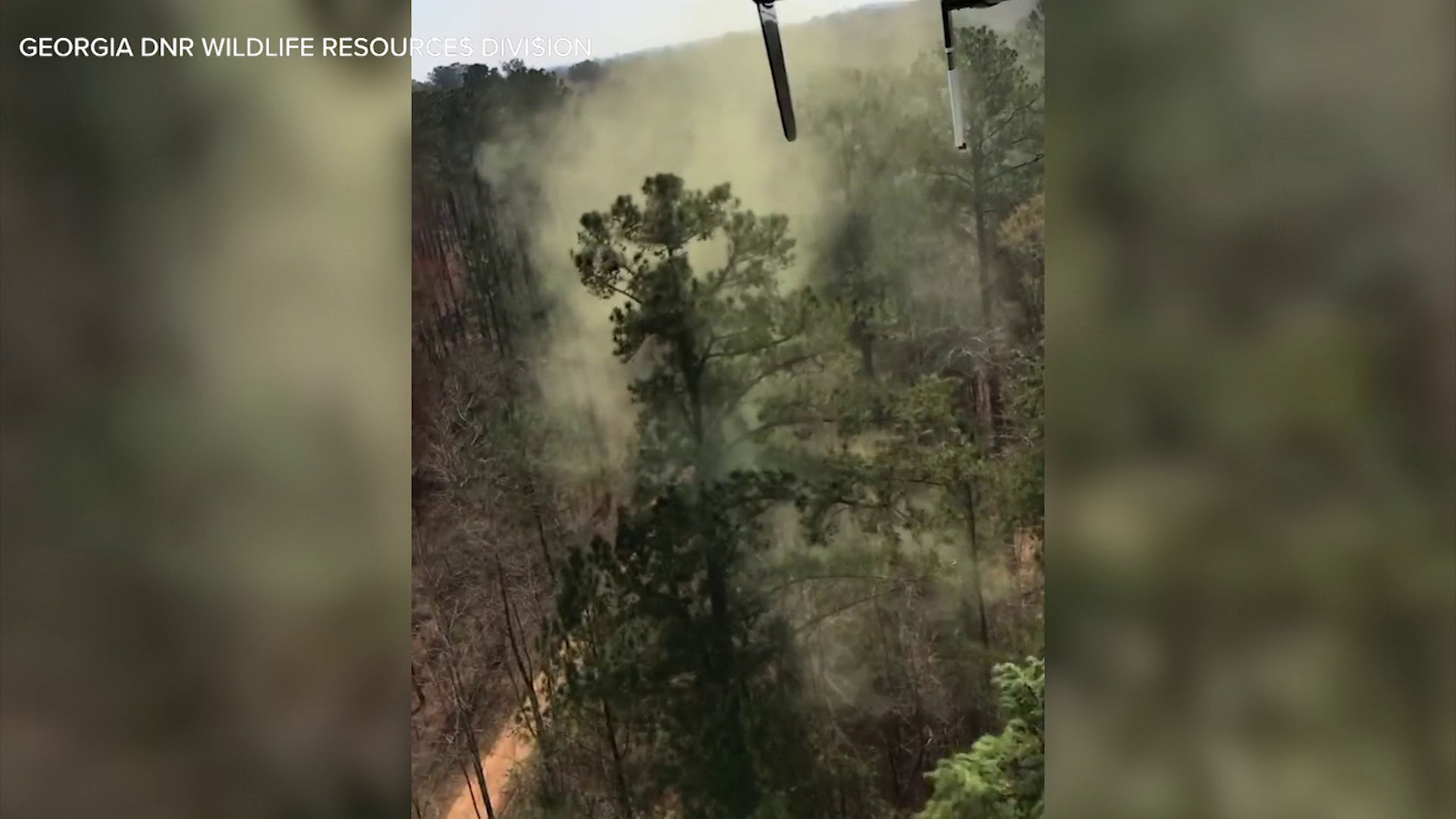 Video: Helicopter kicks up pollen from trees in western Georgia | khou.com