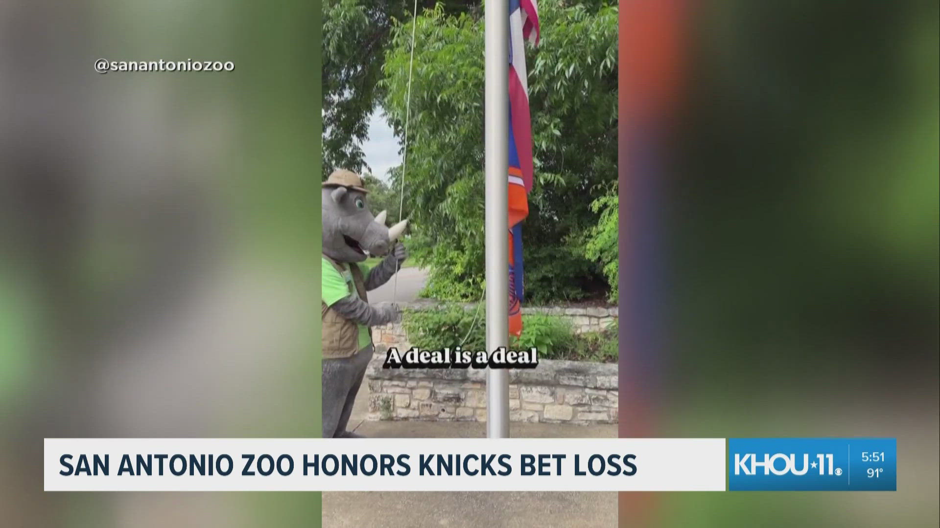 San Antonio Zoo flies Knicks flag after losing bet over NBA Finals ...