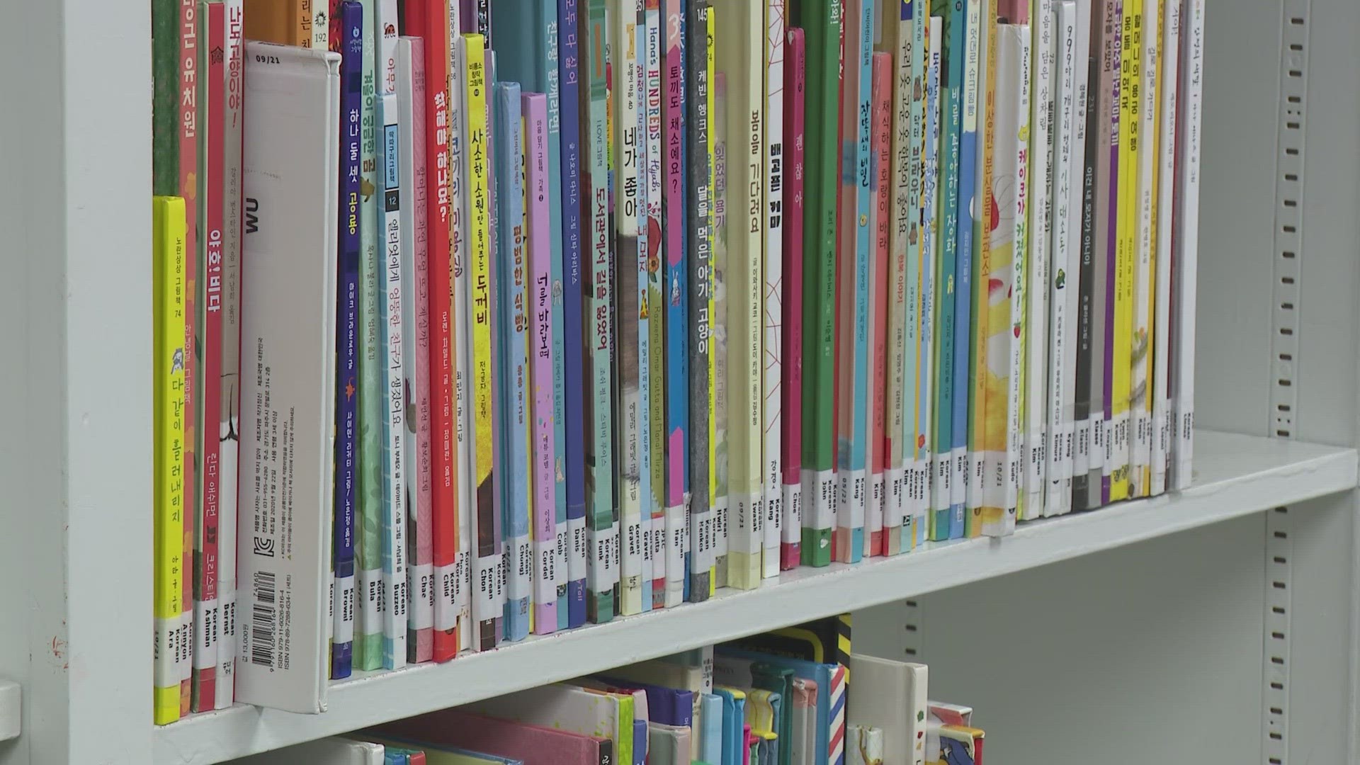 Harris County public libraries call themselves 'book sanctuary' | khou.com