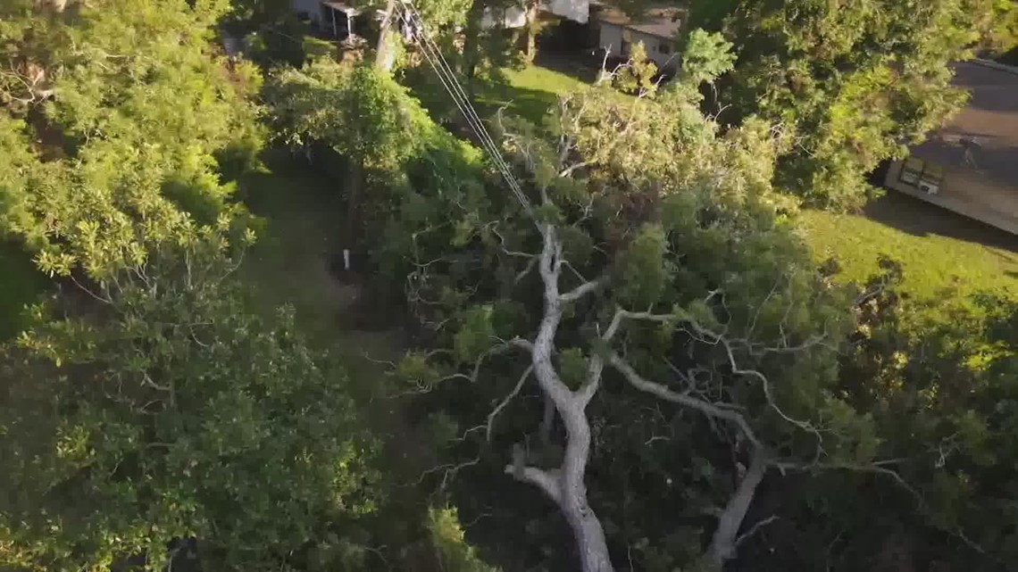 After Hurricane Nicholas, thousands still without power in Houston area ...