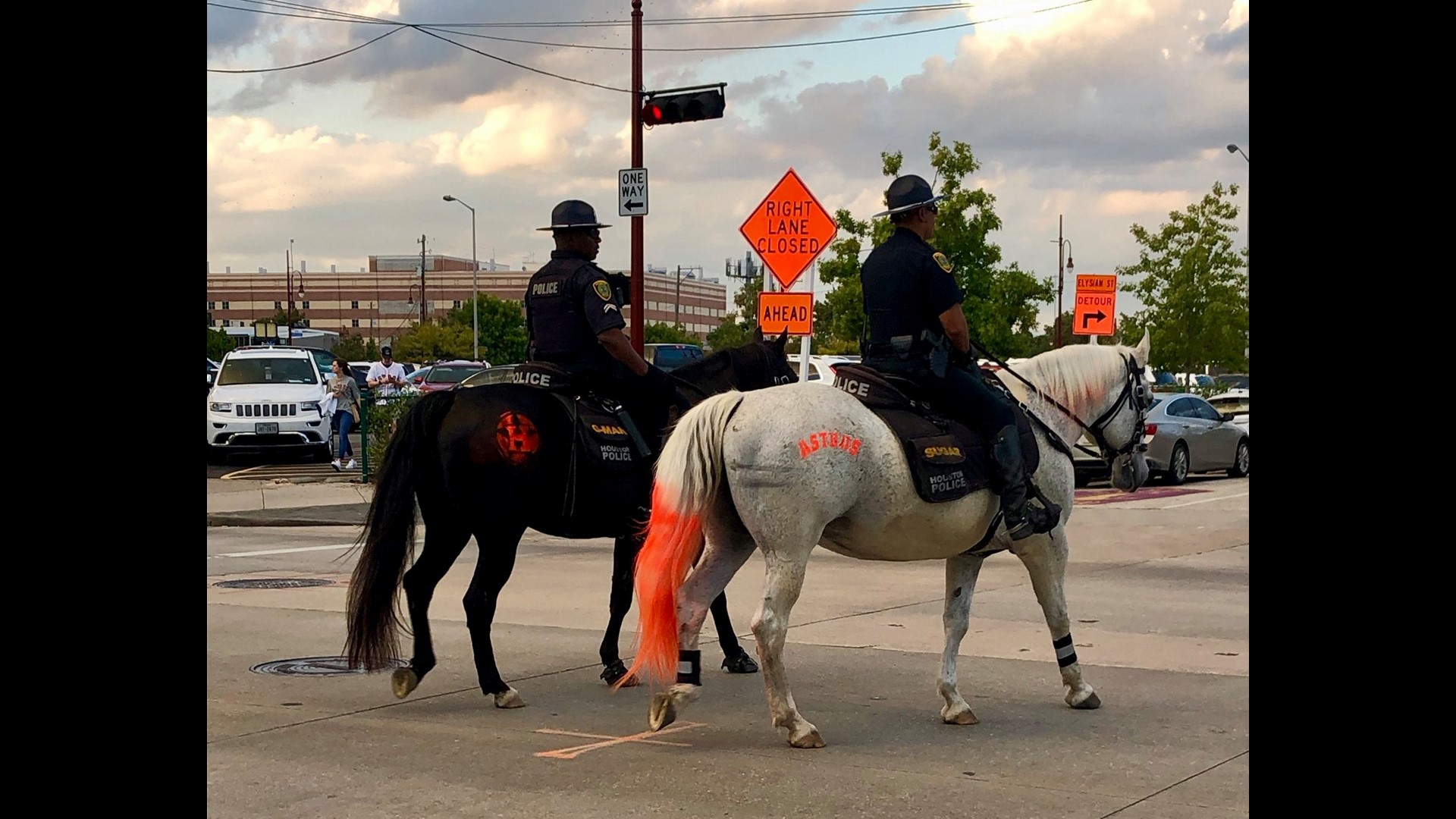 Houston Police Department Mounted Patrol horse dies at 15 | khou.com