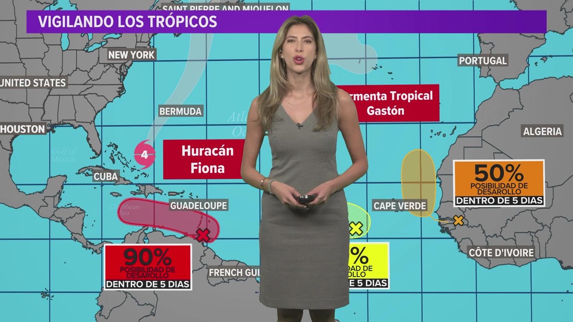 Lost your pet? 'Pet Reunion Pavilion' reuniting pets and owners at NRG ...