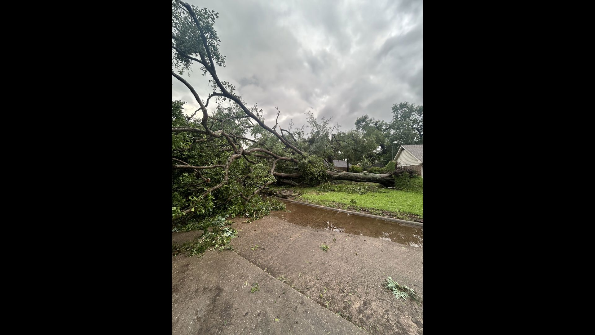 Hurricane Beryl aftermath: Photos and videos | khou.com