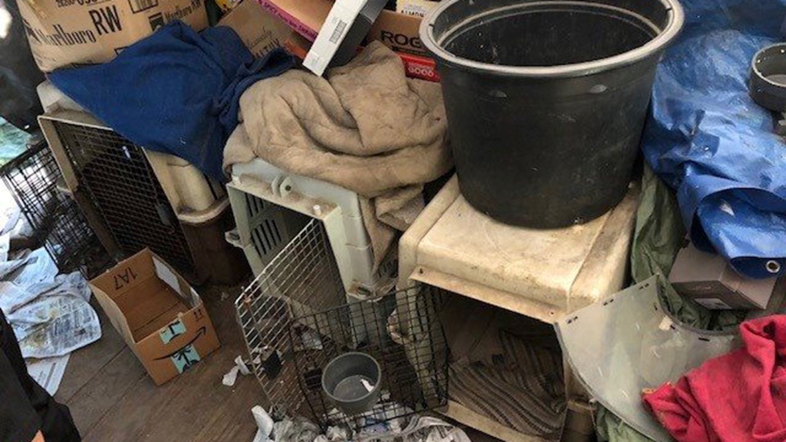 21 animals seized from NW Houston home filled with clutter, feces ...