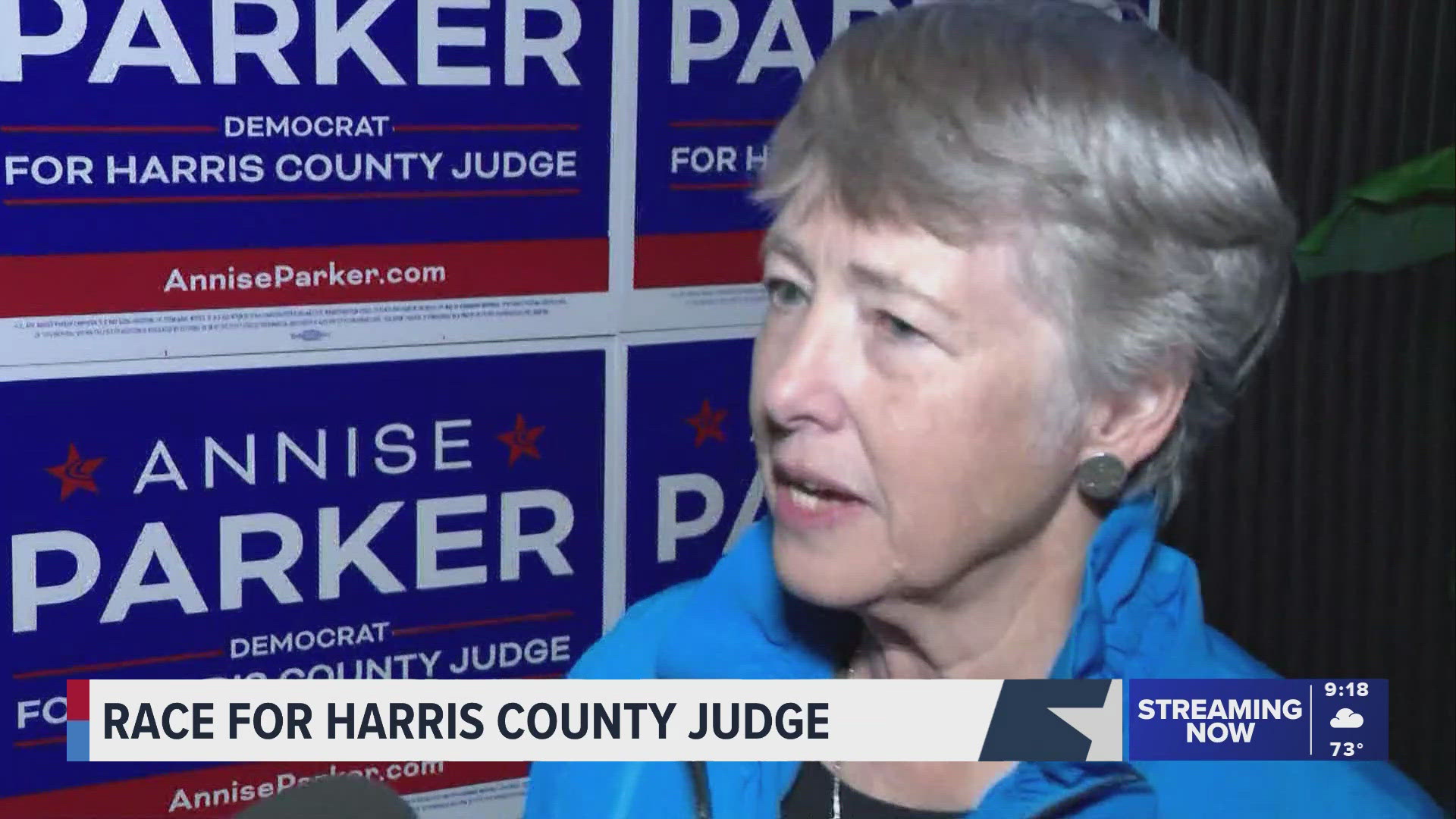Harris County Judge results: Latest numbers in race to replace Lina ...