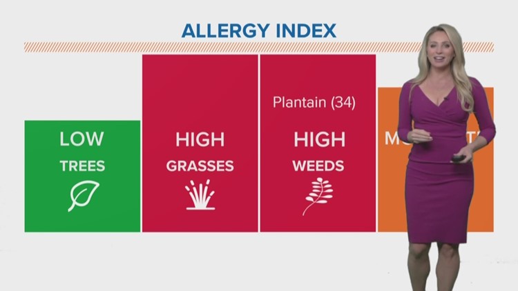 Rodeo Houston | KHOU.com
