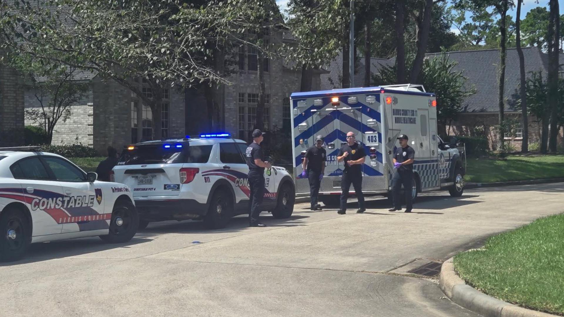 Baby attacked by family dog at Northampton Forest home, Pct. 4 says ...