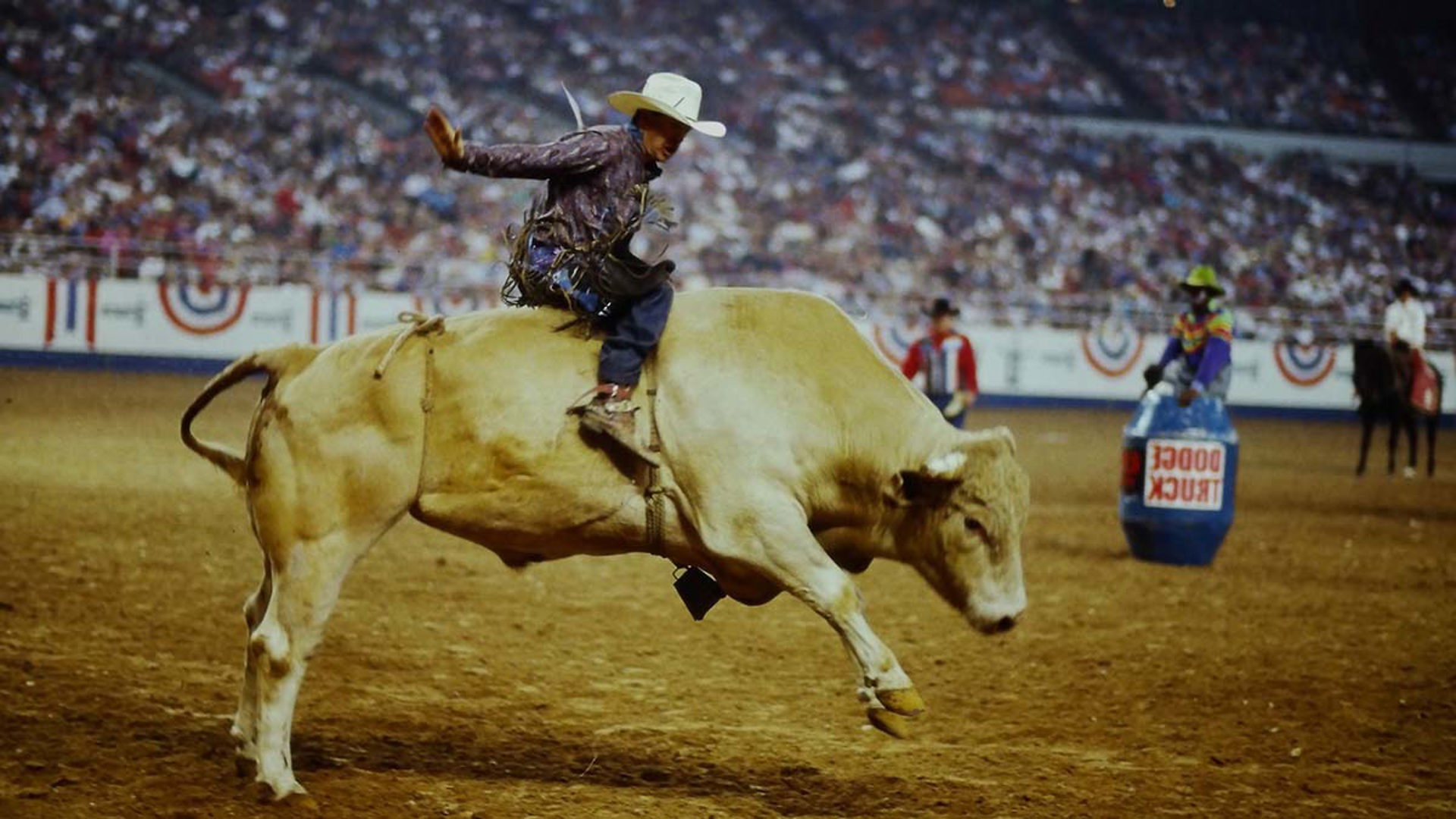 Bodacious, the baddest bull of them all, and a champion bull rider will ...