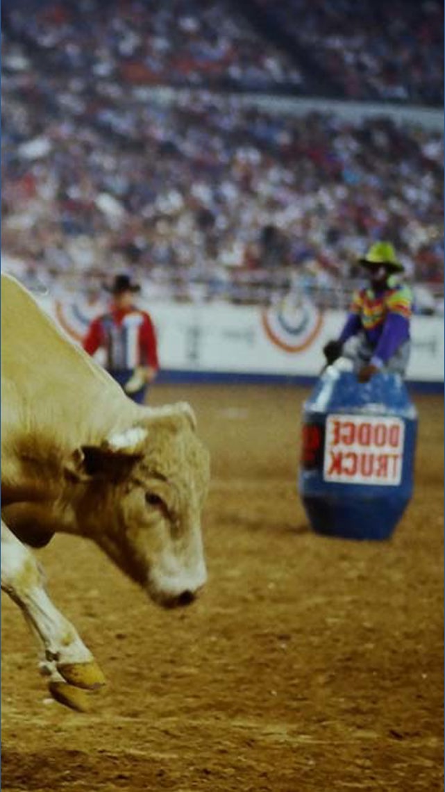 Bodacious, the baddest bull of them all, and a champion bull rider will ...