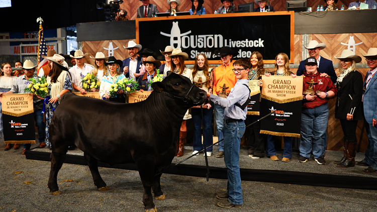 RodeoHouston steer auction: Grand Champion sells for $675K | khou.com