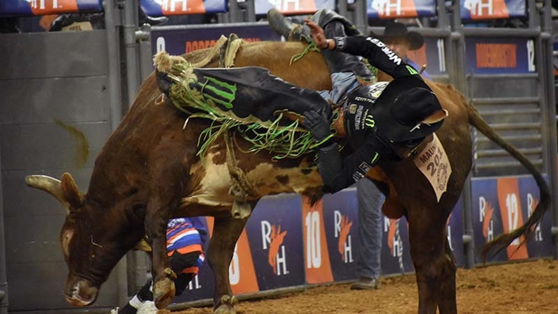 2023 RodeoHouston photos | khou.com