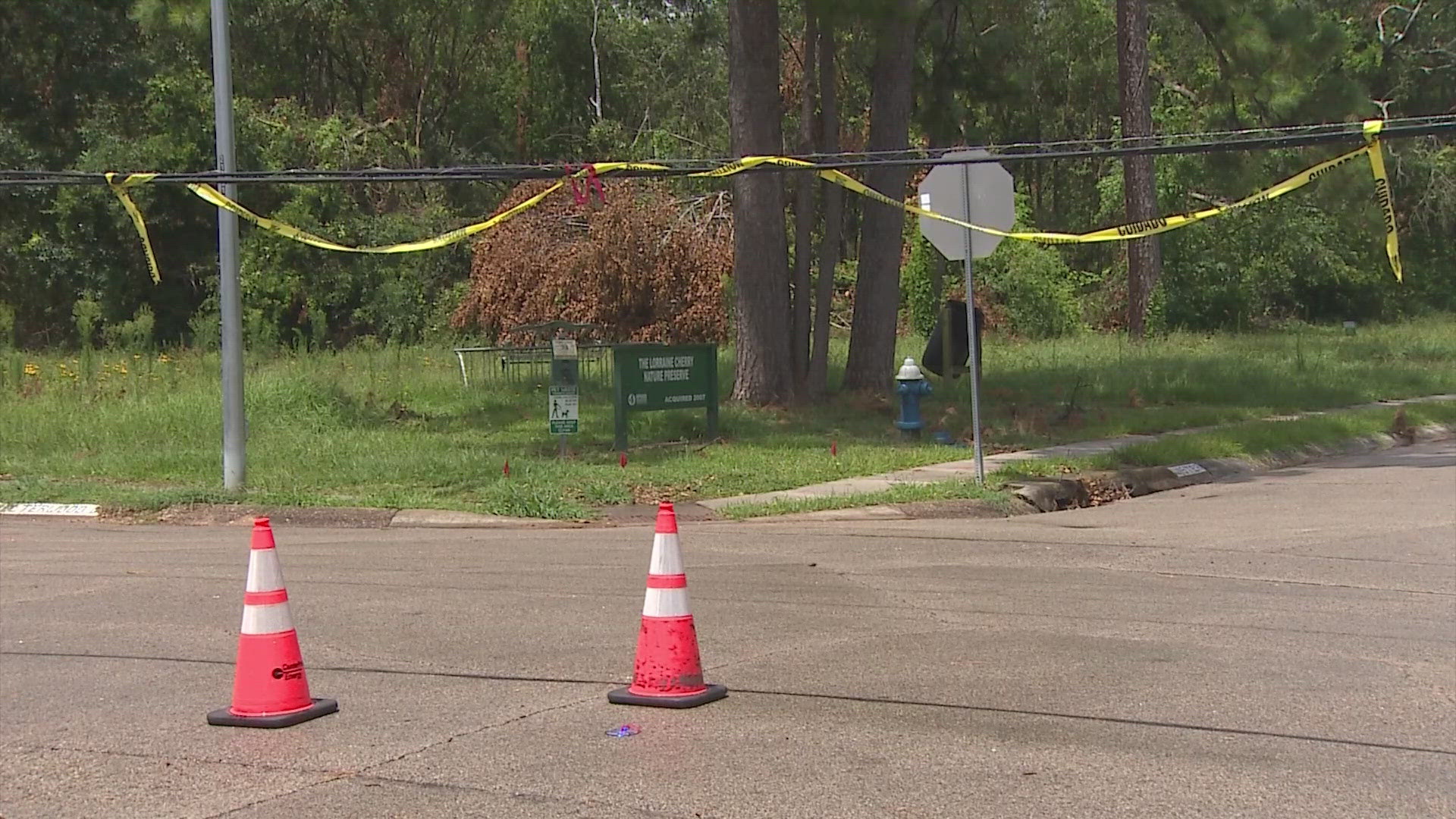 Timbergrove residents worried about low-hanging wires as they brace for ...