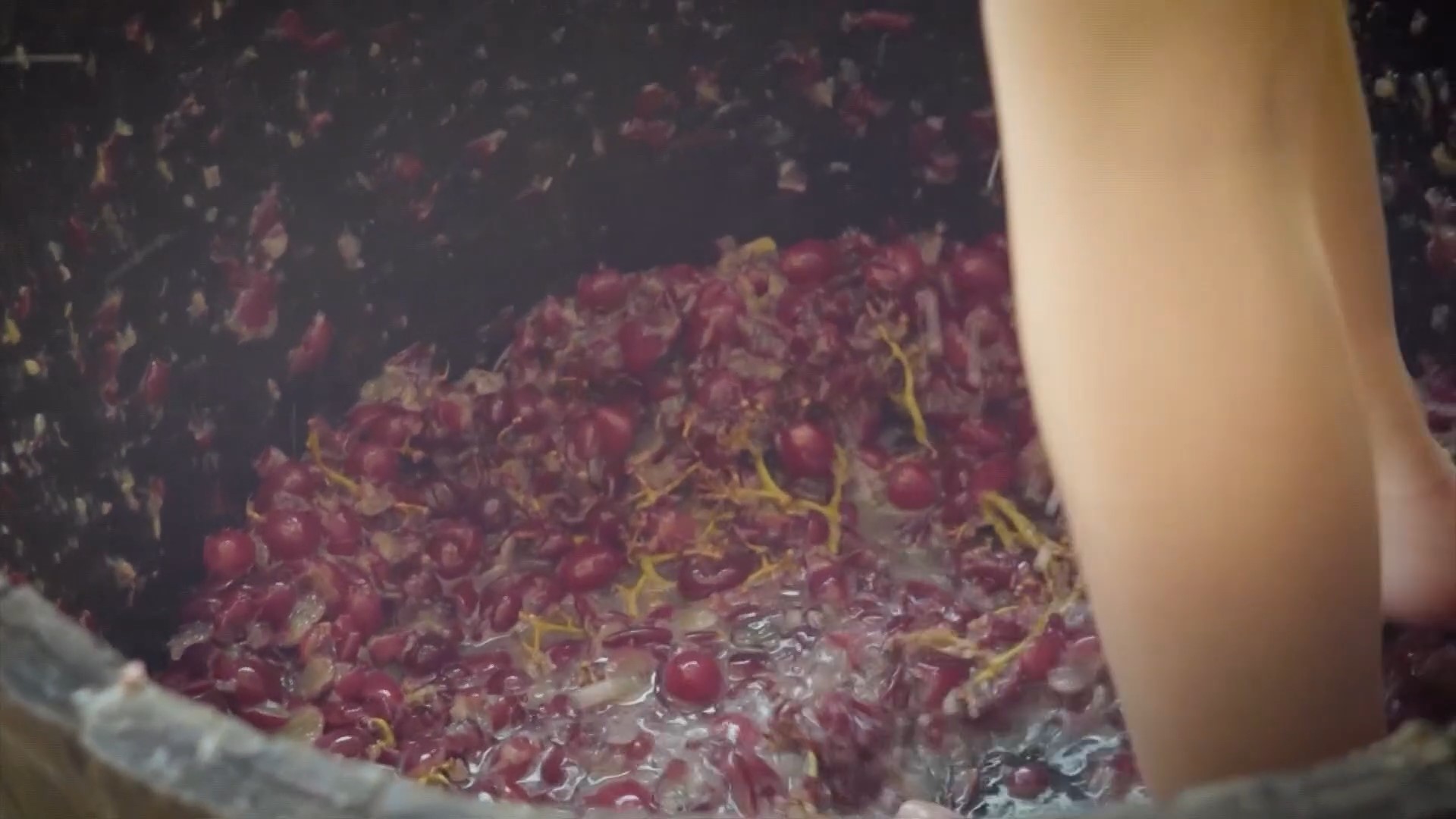 Grape stomping: Texas vineyards and wineries to visit in 2023 | khou.com