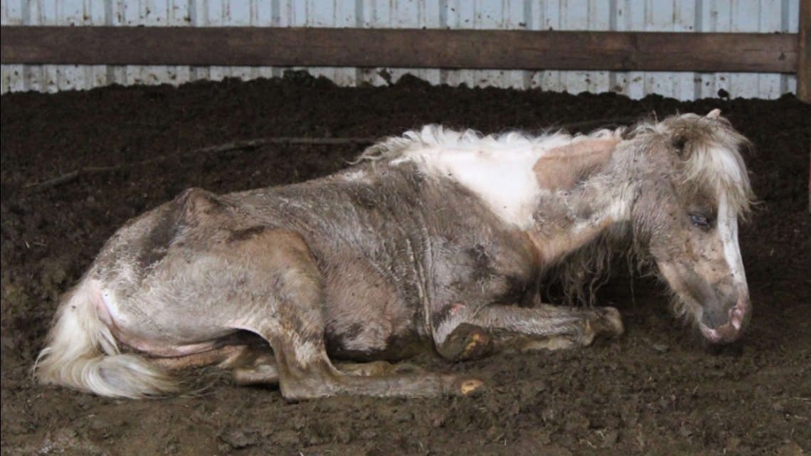 North Freeway at Rayford SB closed due to fatal wreck | Houston traffic | khou.com