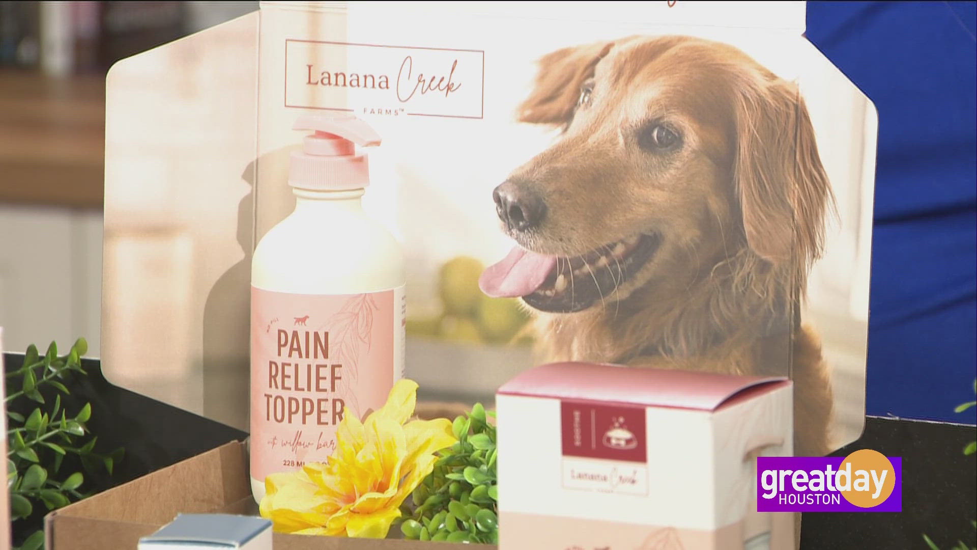 Dawn's Corner shares the top fall product essentials that cover every ...