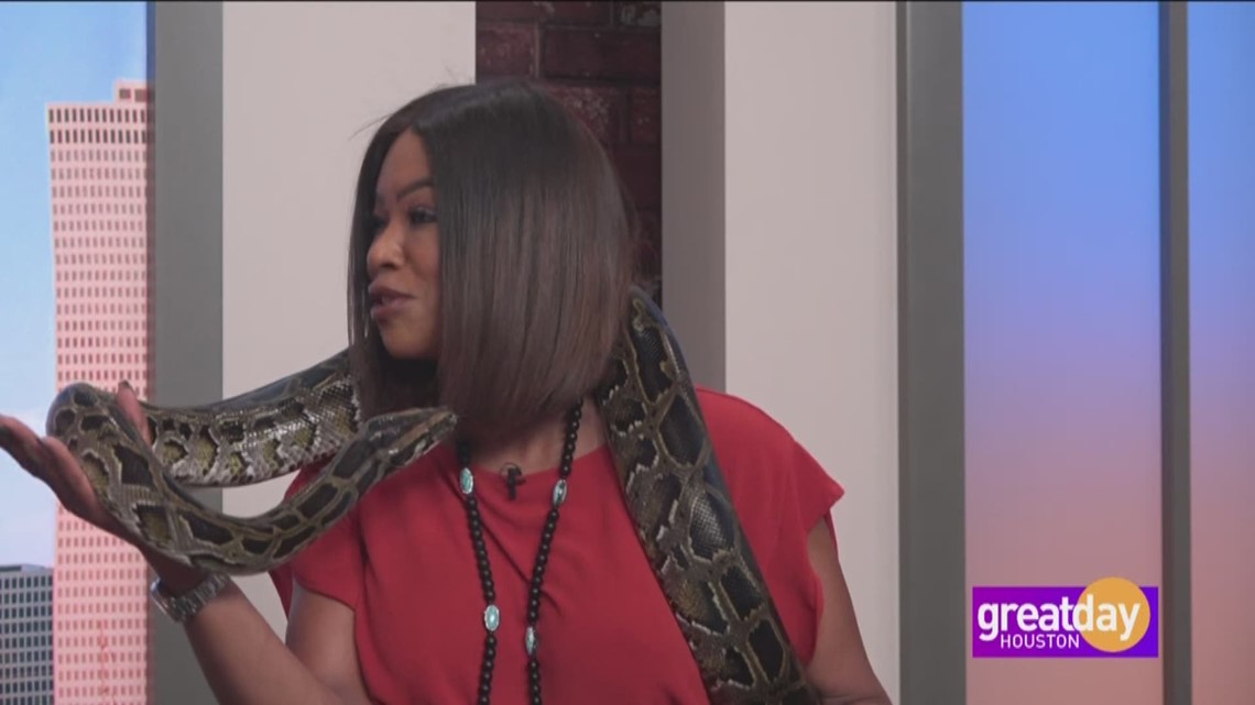 Learn About Snakes Native To Texas | khou.com