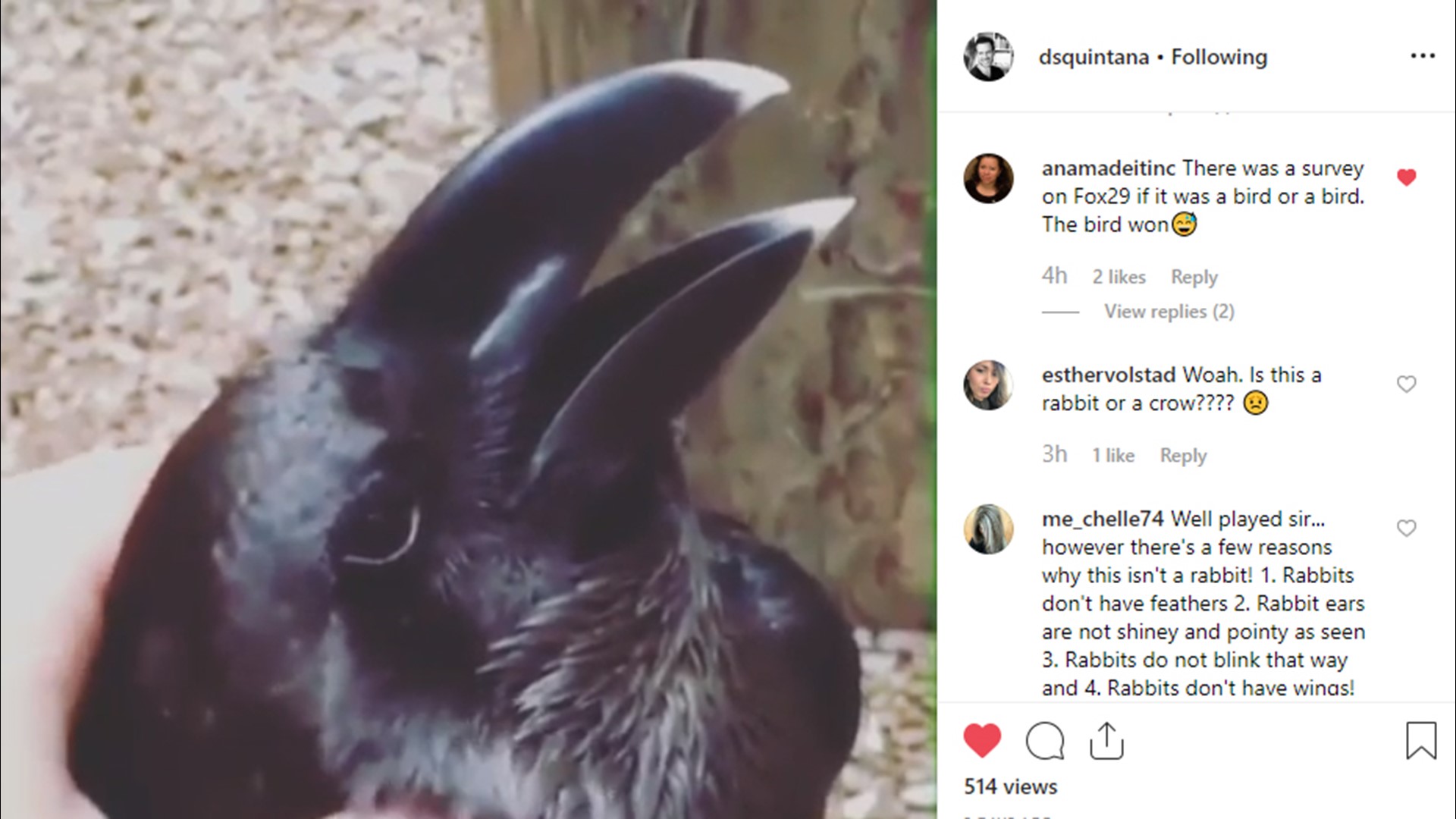 Bird or rabbit? Optical illusion is breaking the Internet | khou.com