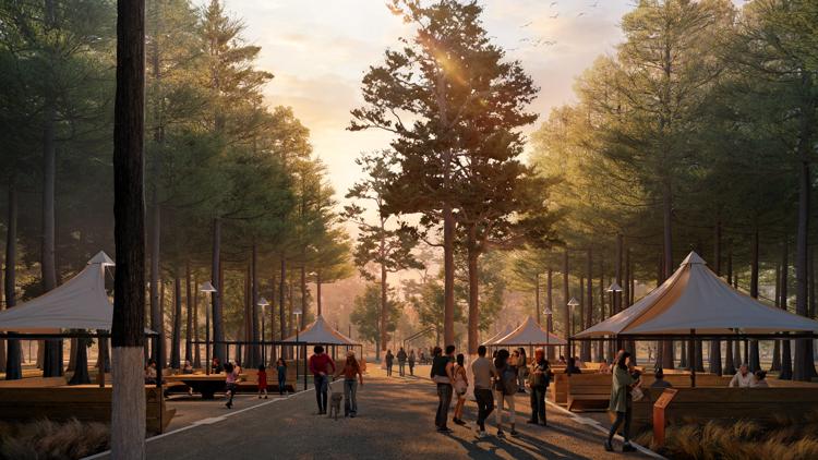 Memorial Park to transform 100 acres with $42M project | khou.com