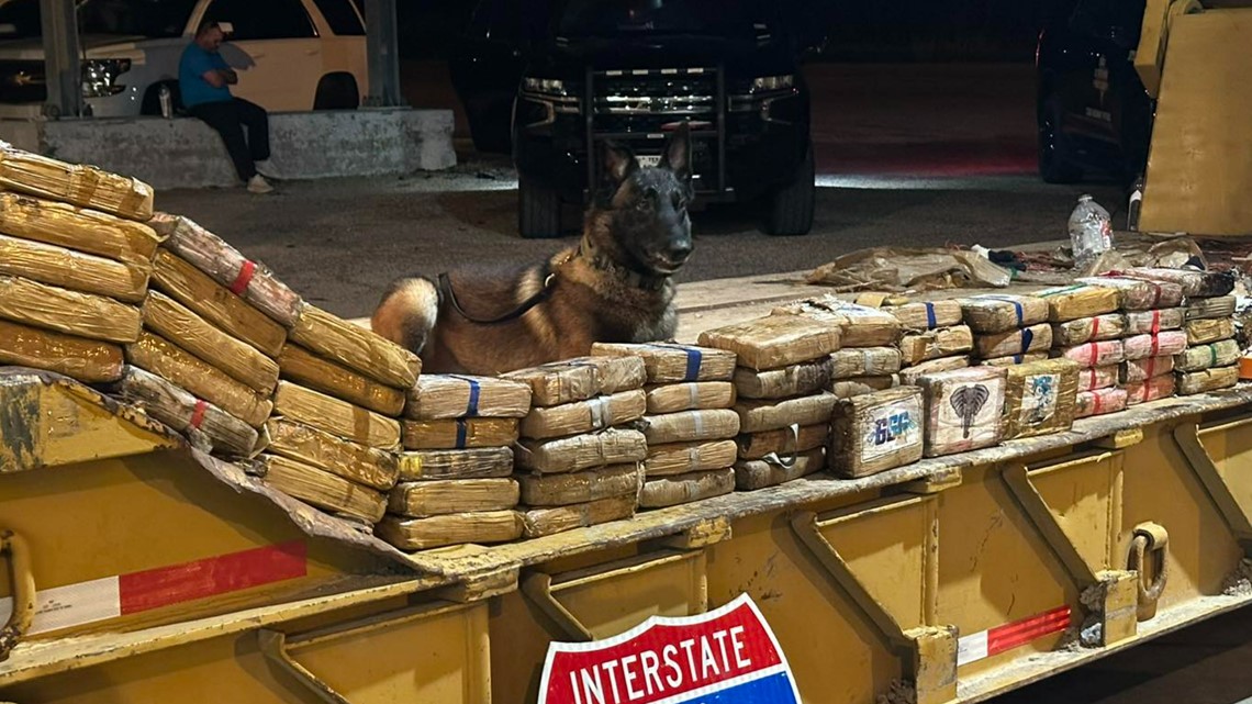 Wharton, Texas drug bust: Police find 100 kilos of cocaine | khou.com