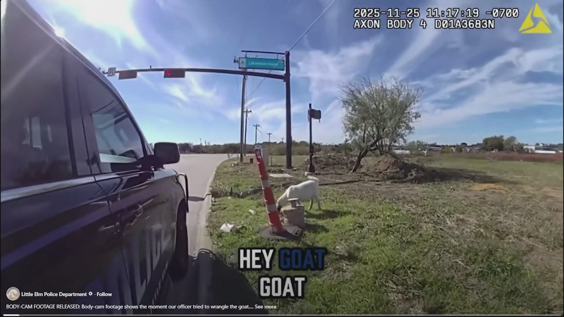 Officer's encounter with goat goes viral | khou.com