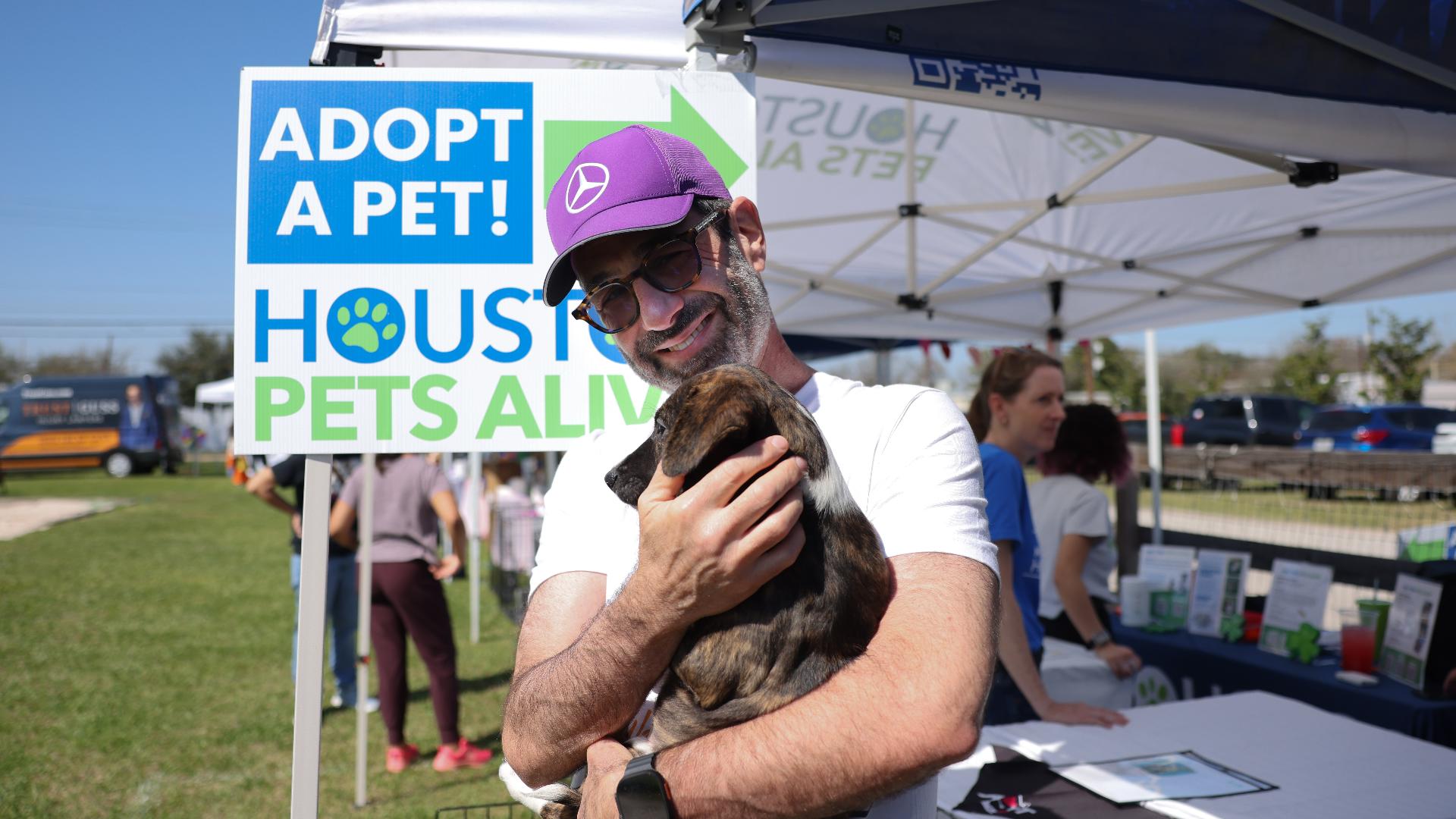 Houston hosts Puppy Palooza pet adoption event | khou.com
