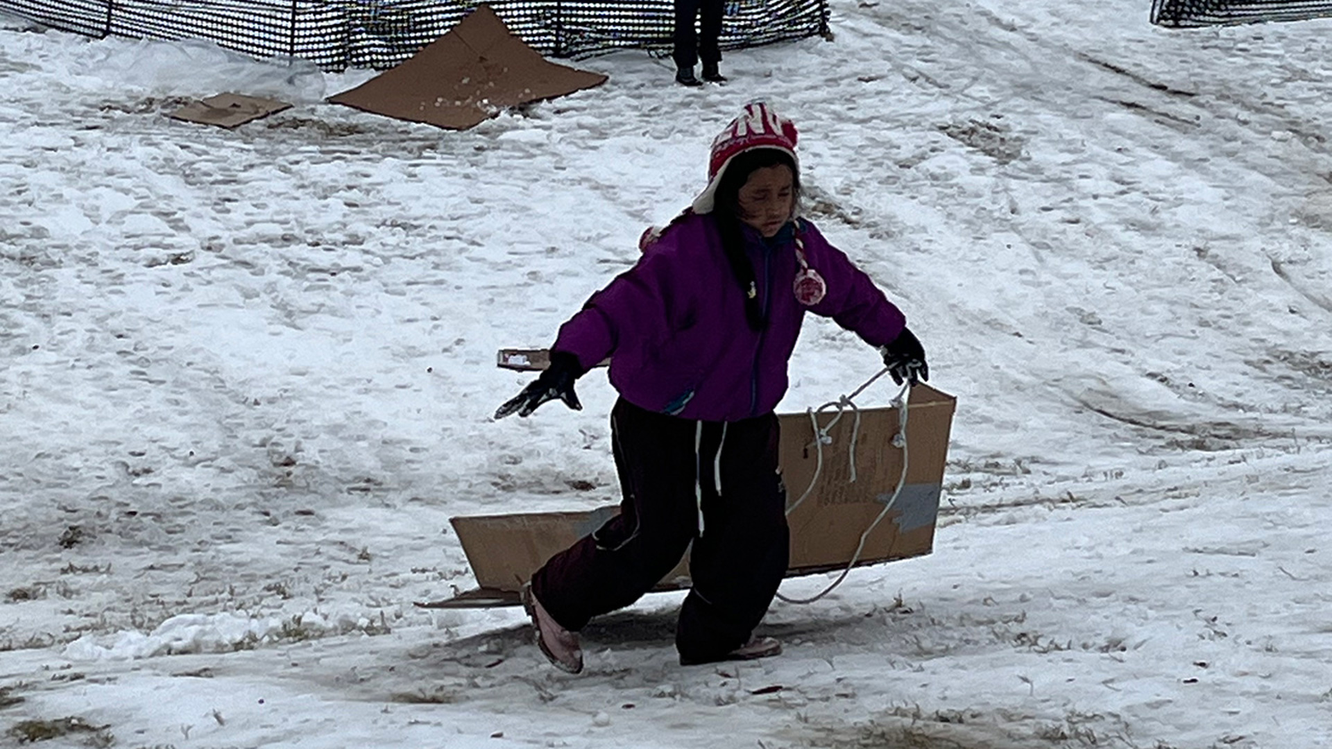 Houston snow: What residents used for sleds when hills were blanketed ...